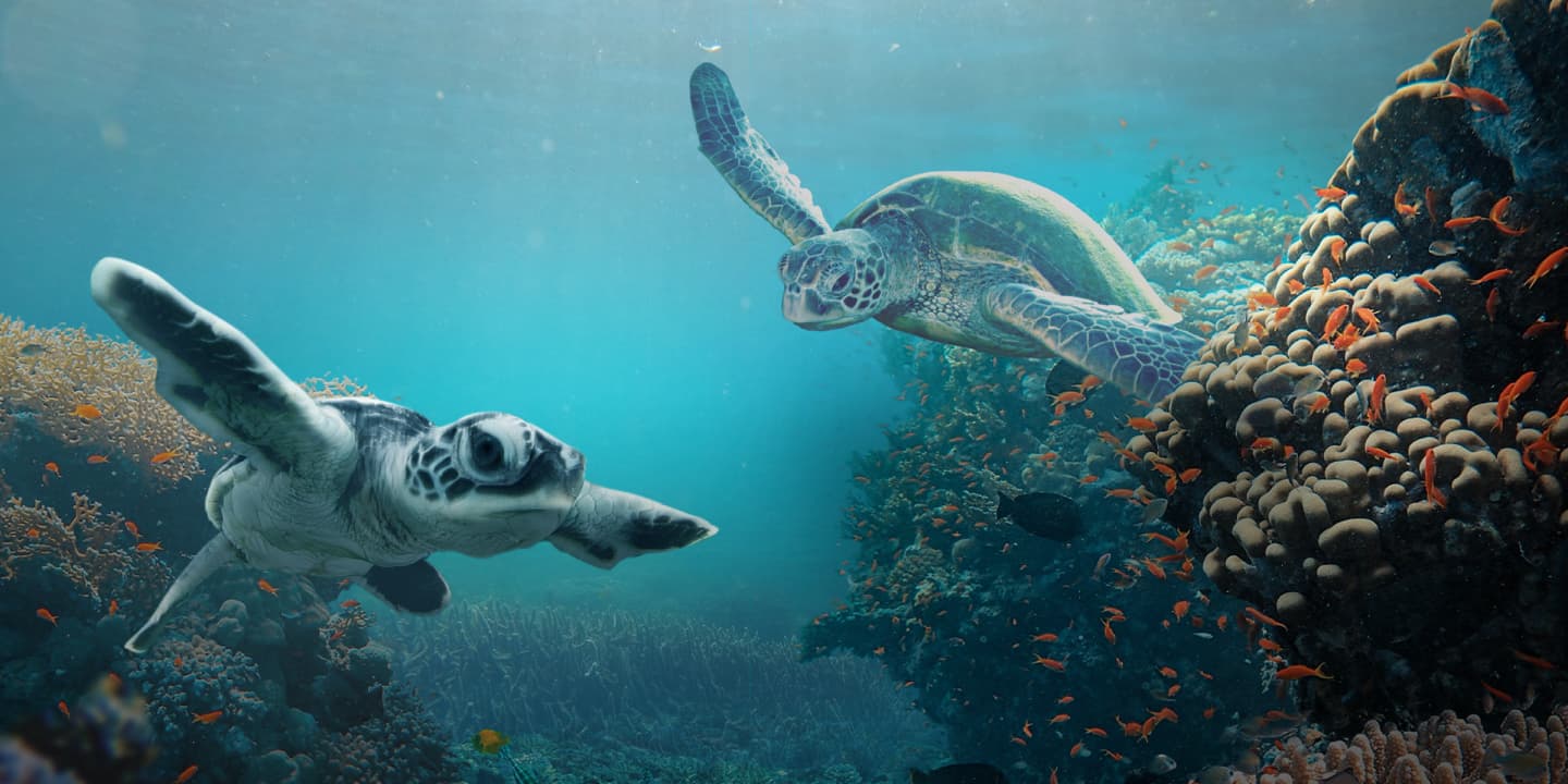 WWF-Indonesia | MONA